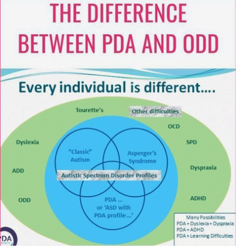 PDA vs ODD- Goally